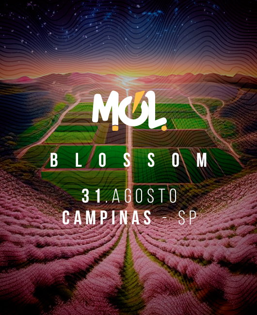 Bilheteria Digital | Ingressos MOL CAMPINAS